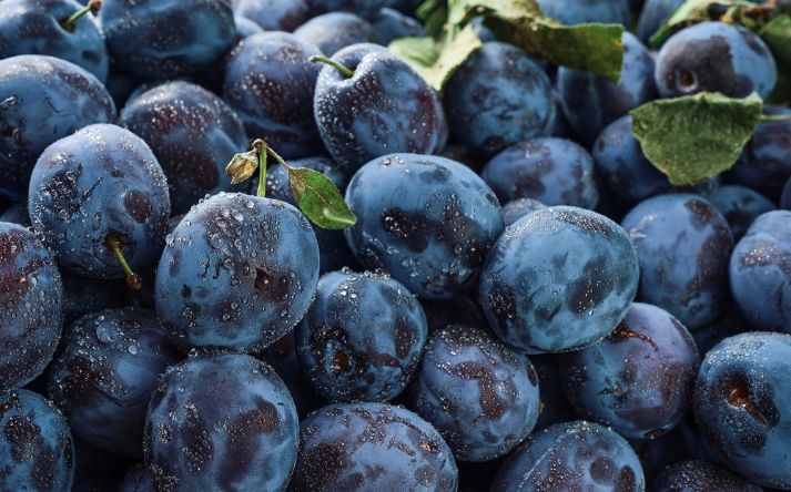 Blommer- saftig tilføjelse til salater, smoothies og bagværk